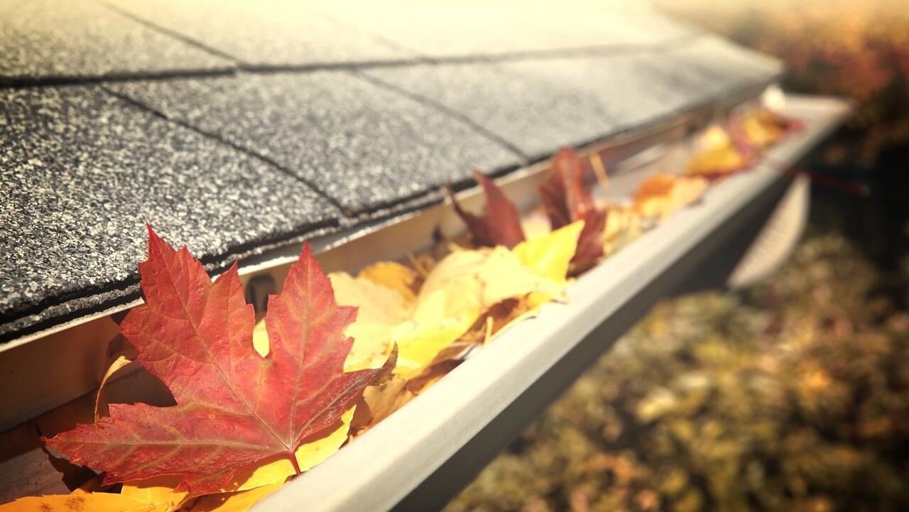 Vihmaveesüsteemide hooldus – Runeberg.ee Hoonete Auditid Ekspertiisid ...